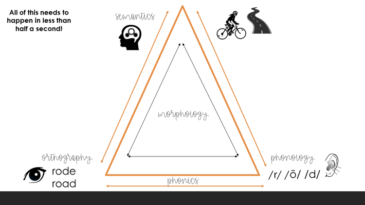 Teaching Prefixes and Suffixes: Morphology Matters! — Reading Rev
