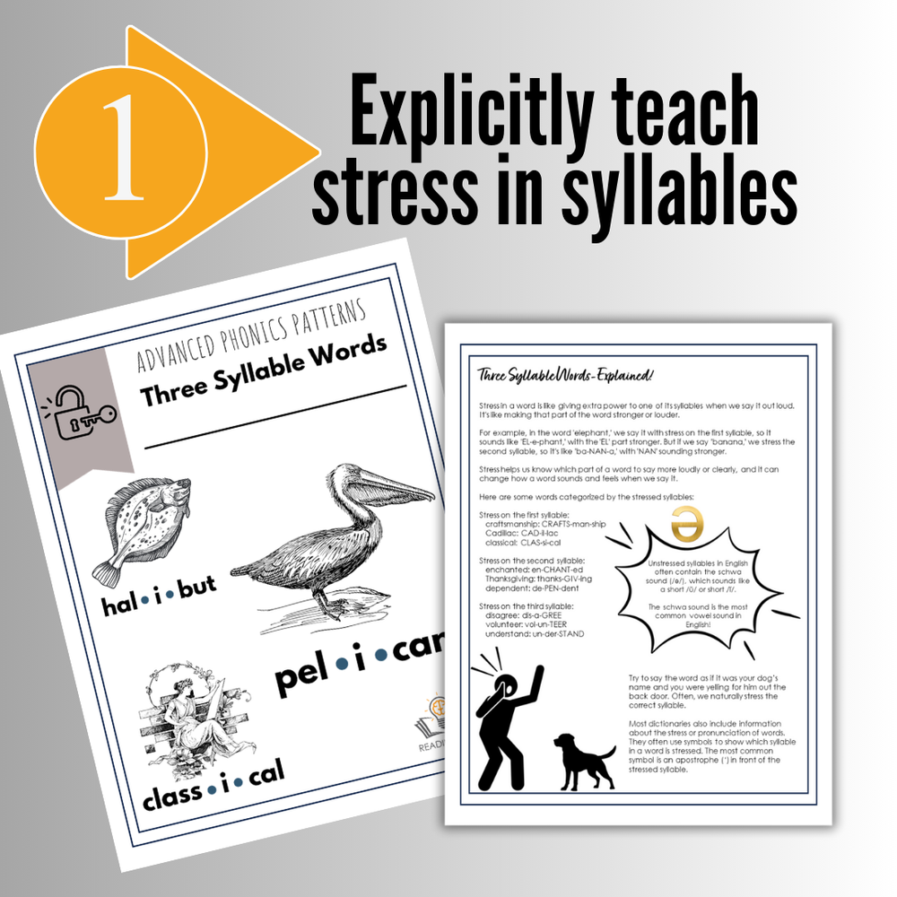 Decoding & Spelling 3+ Syllable Words — Reading Rev