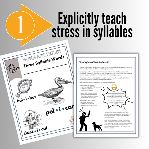 Decoding & Spelling 3+ Syllable Words — Reading Rev