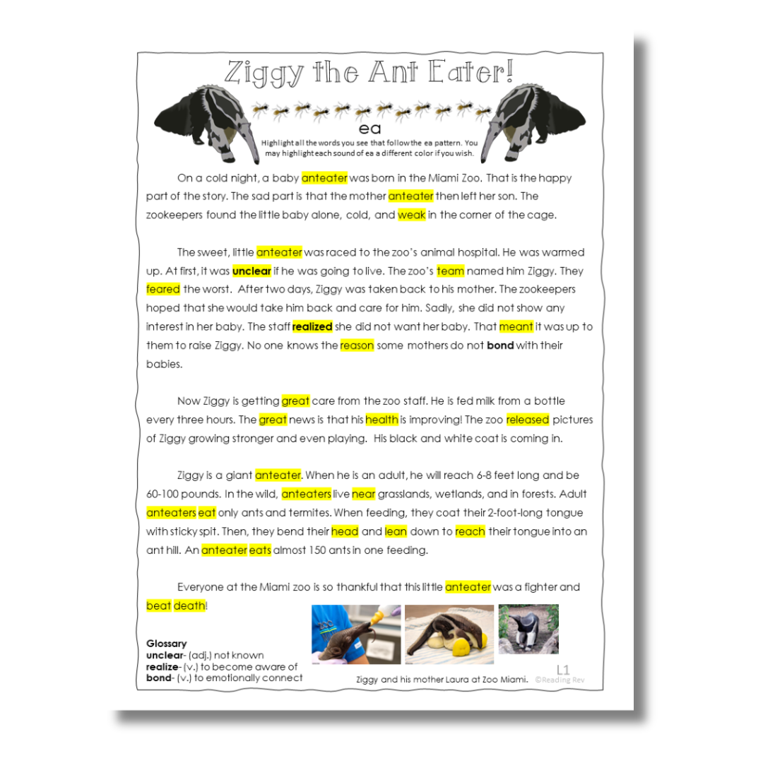 Parents Guide to Structured Literacy — Reading Rev