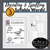 Decoding & Spelling 3+ Syllable Words — Reading Rev