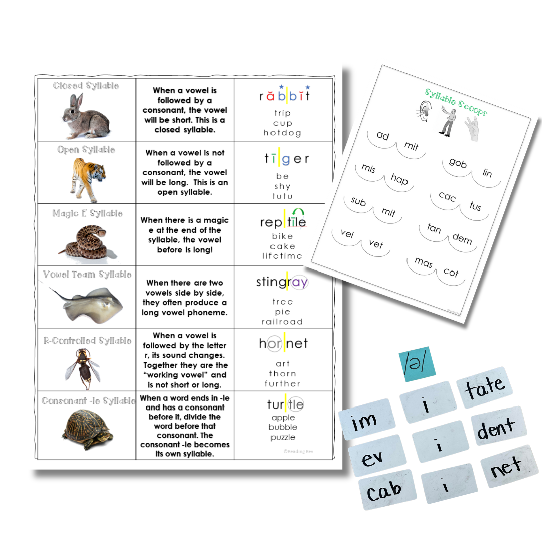 Parents Guide to Structured Literacy — Reading Rev