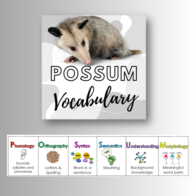 Rethinking Vocabulary — Reading Rev