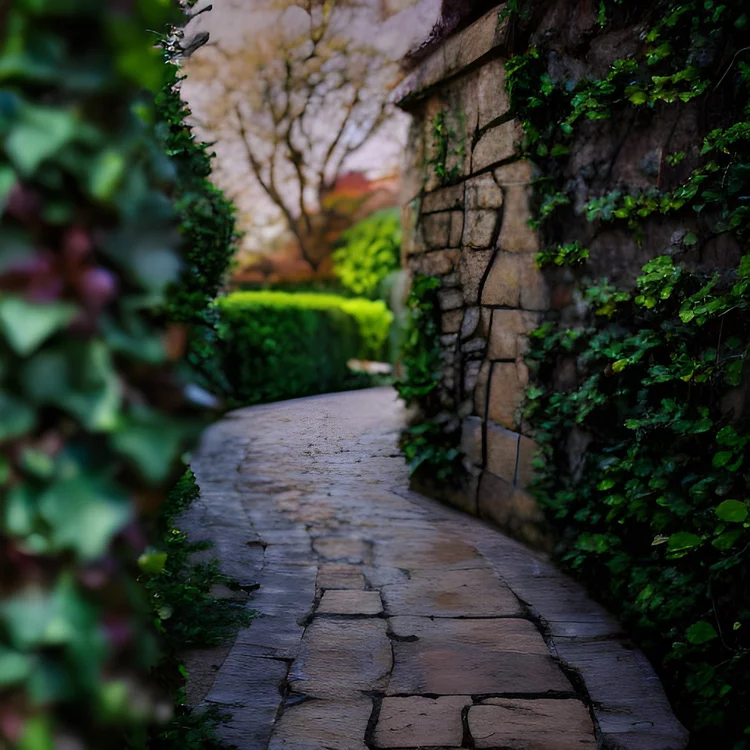 Online Therapy in MA | Support for ADHD, Anxiety & Stress