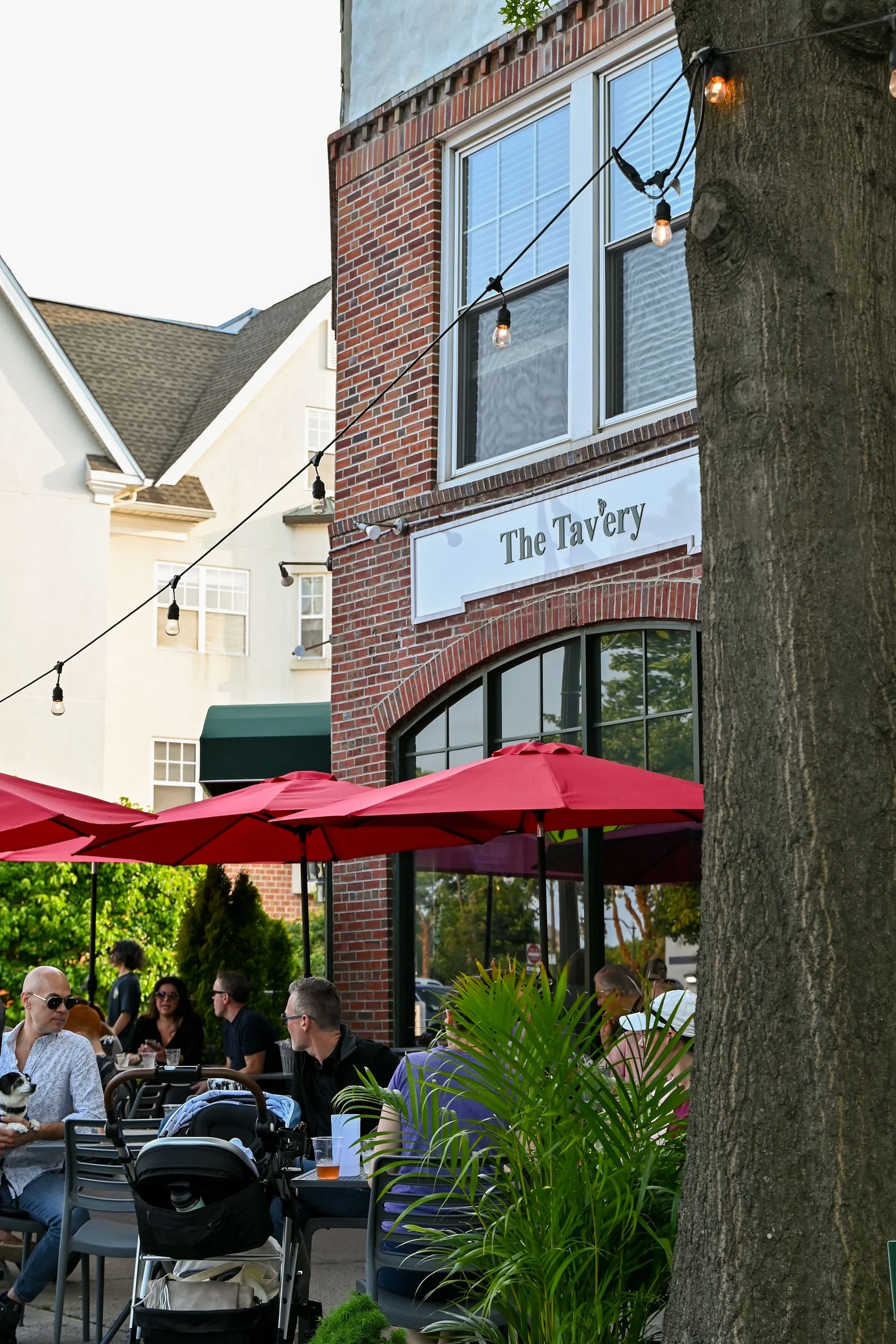 Gallery — The Tav'ery