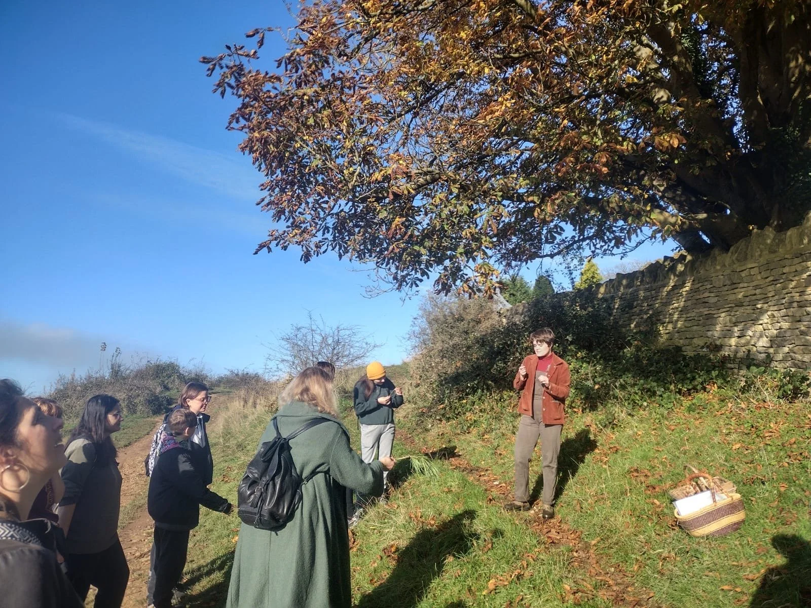 BETONICA — MEET OUR HERBAL MEDICINE GRADUATES - FLORA SCOTT