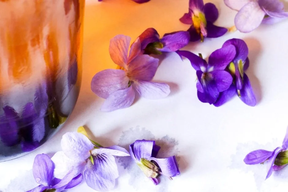 BETONICA — Sweet violet syrup