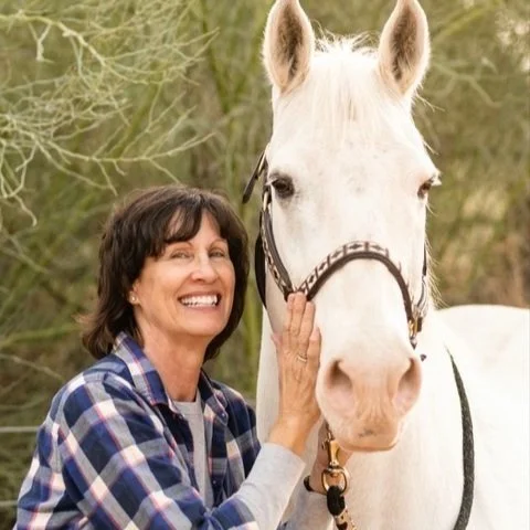 About Us — Phoenix Oasis Press