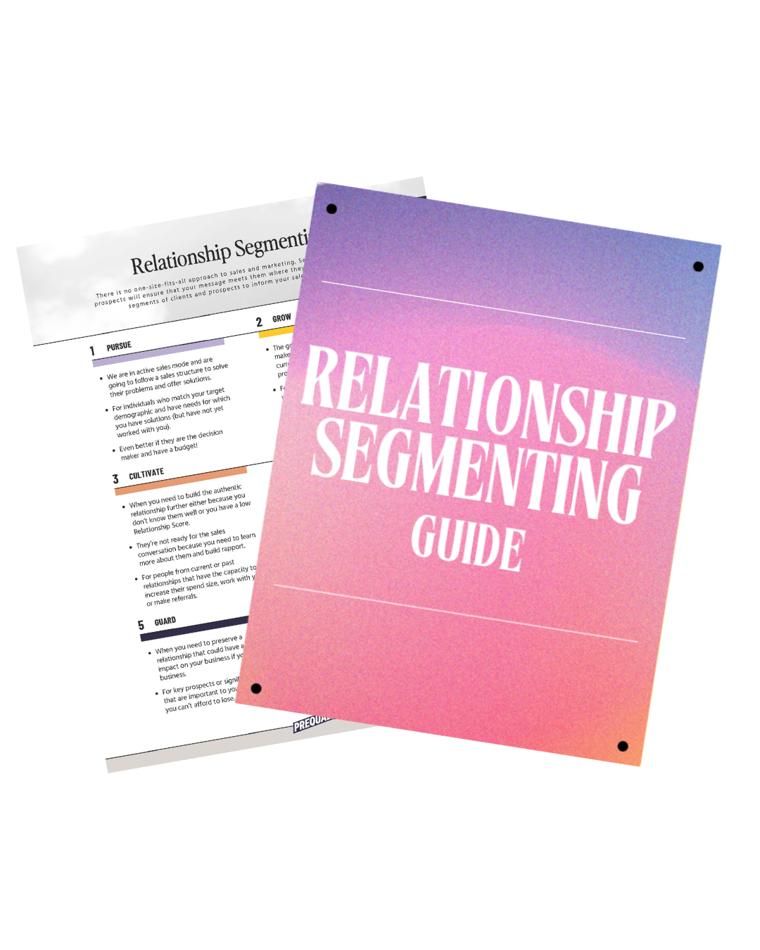 Relationship Segmenting Guide Prequal