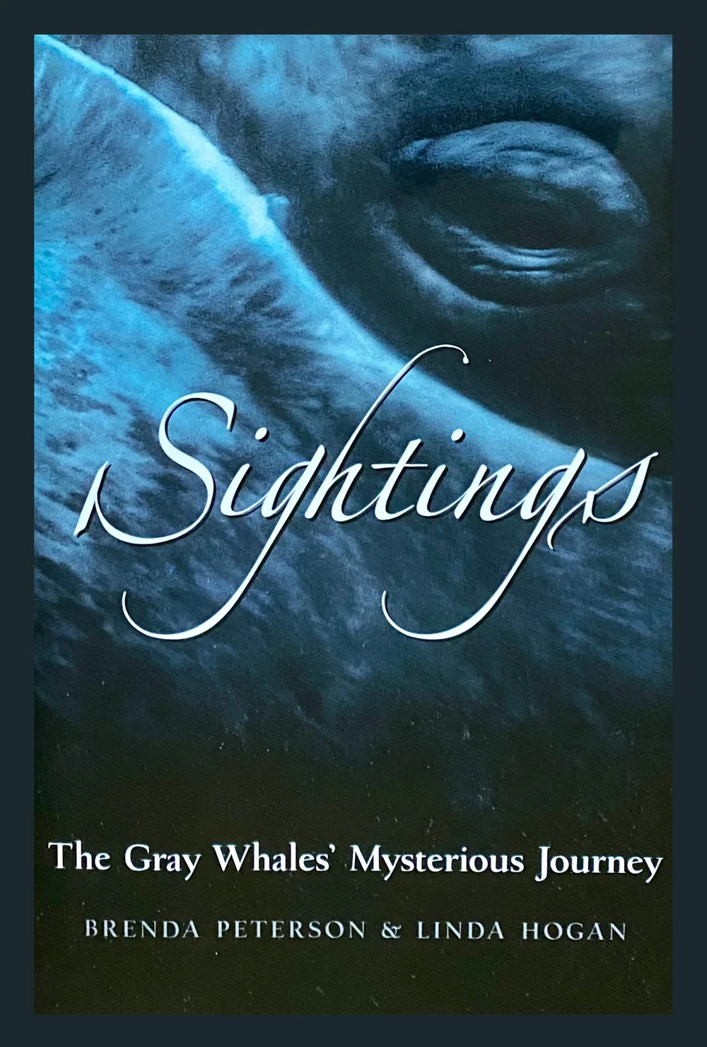 Sightings — Brenda Peterson Books