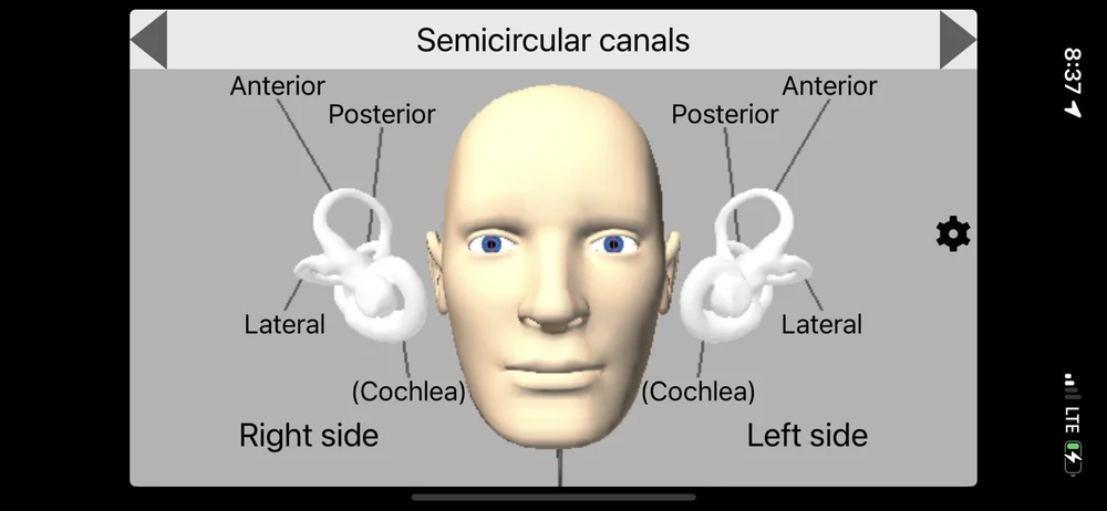 Vestibular Therapy — Concussion Alliance