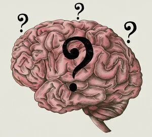 What happens to your brain when you get a concussion? — Concussion Alliance