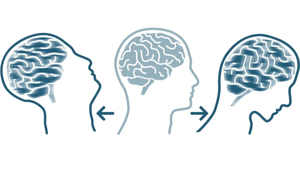 What happens to your brain when you get a concussion? — Concussion Alliance