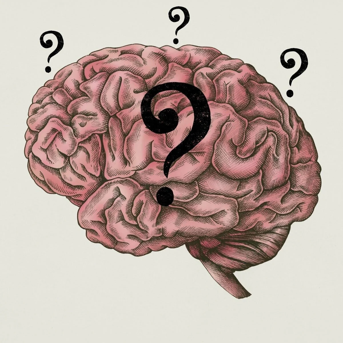 What happens to your brain when you get a concussion: a deeper dive ...