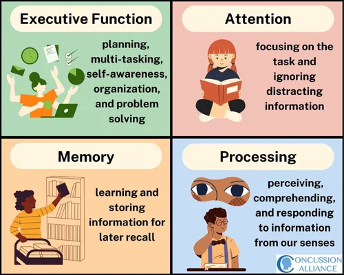Cognitive Dysfunction After Concussion — Concussion Alliance