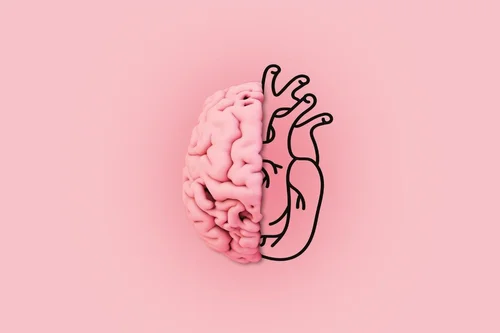Multiple concussions negatively affect heart activity, and brain oxygen ...