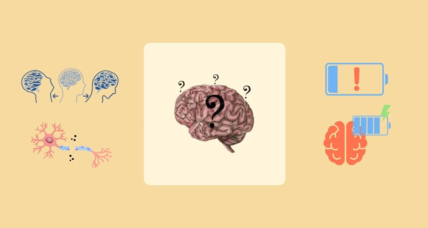 What happens to your brain when you get a concussion? — Concussion Alliance
