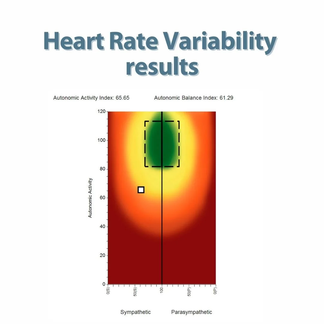 The Powerful Impact of our Nervous System and Our Stress Response ...