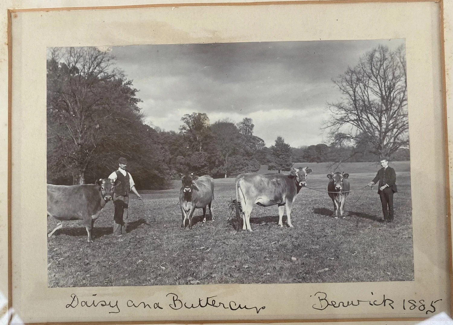 About — Berwick House & Gardens