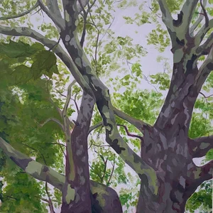 Mary Curran Studio