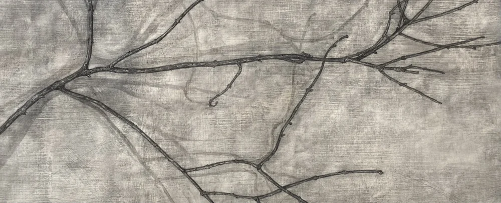 Mary Curran Studio