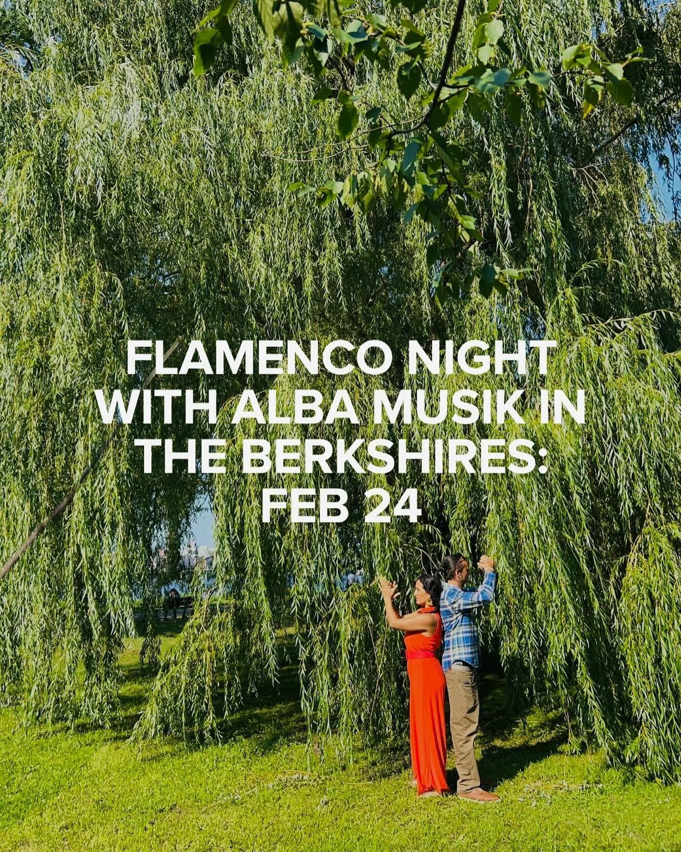 About — AlbaMusik.com