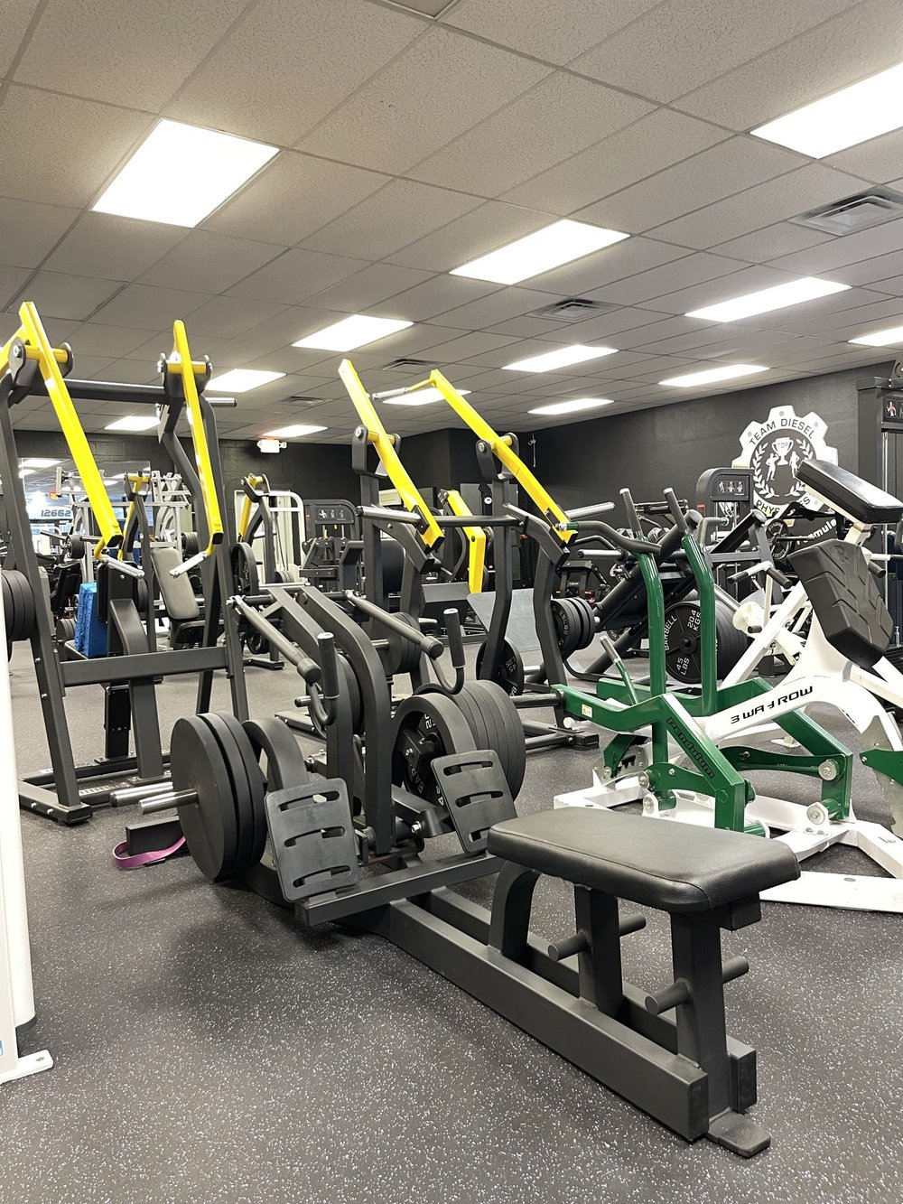 Our Equipment — Gulf Coast Muscle Gym - Largo, Florida - 24 Hour Gym