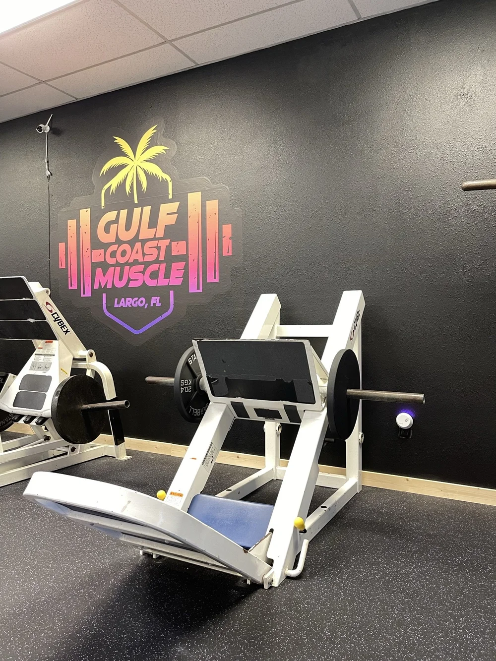 Our Equipment — Gulf Coast Muscle Gym - Largo, Florida - 24 Hour Gym