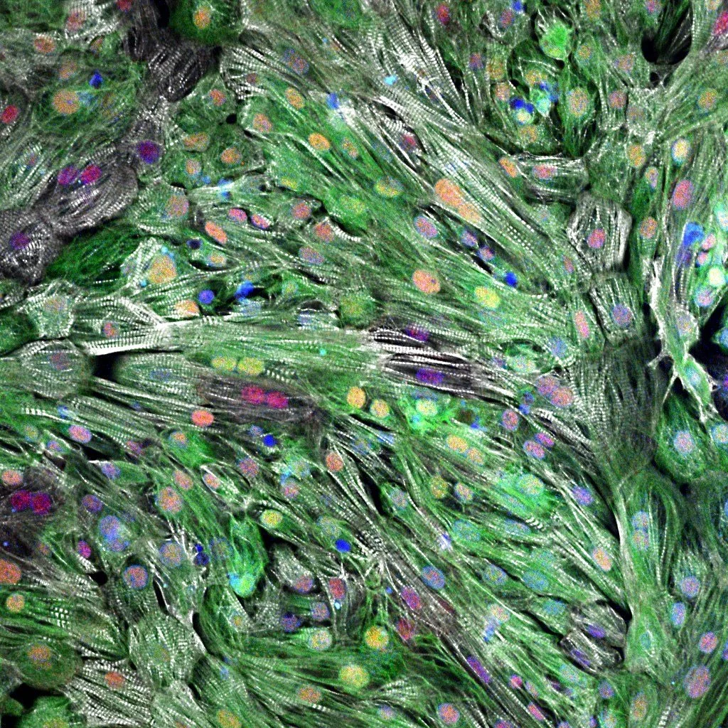 People — Protze Lab