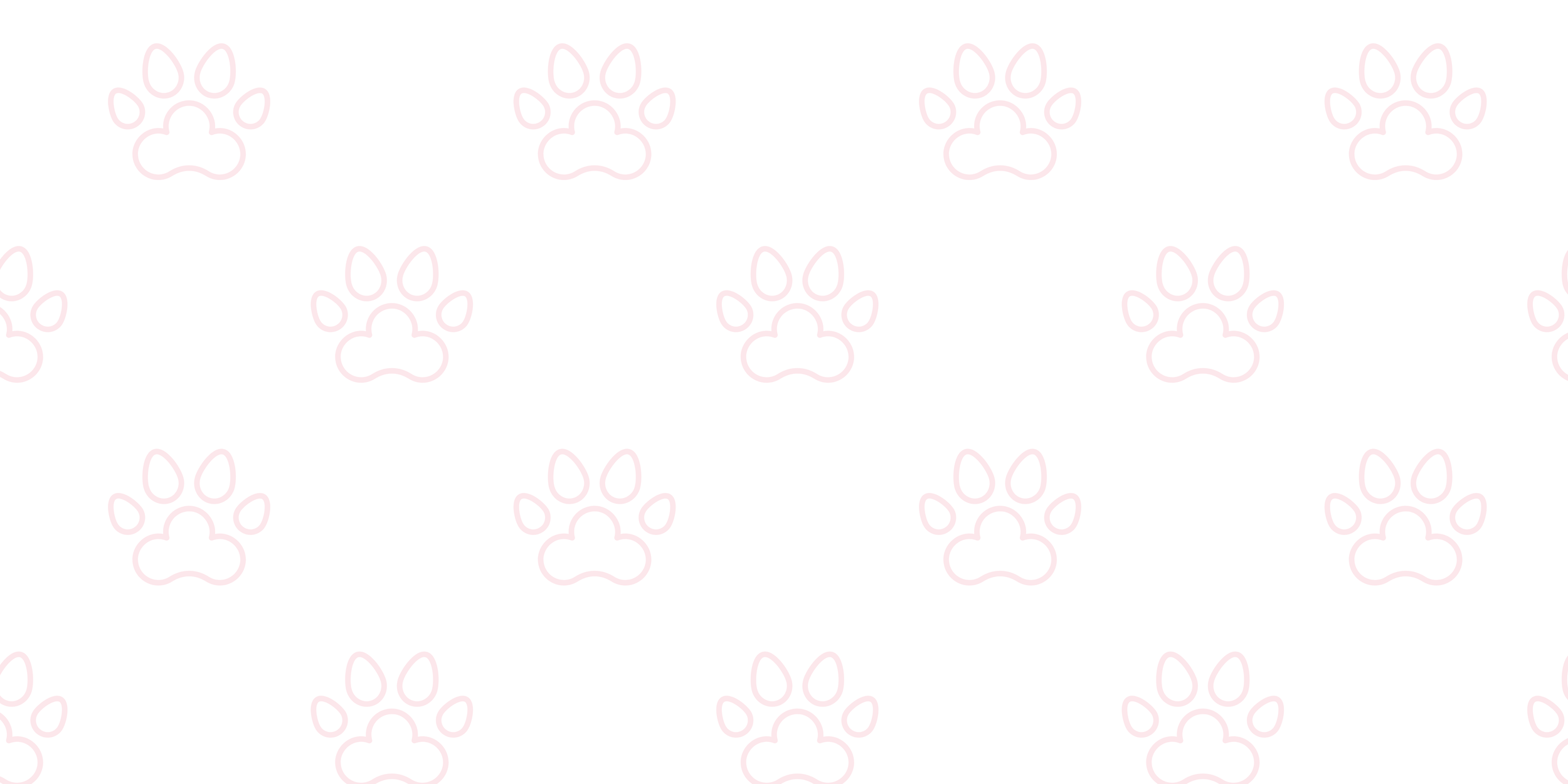 About — Jaques Dog Grooming