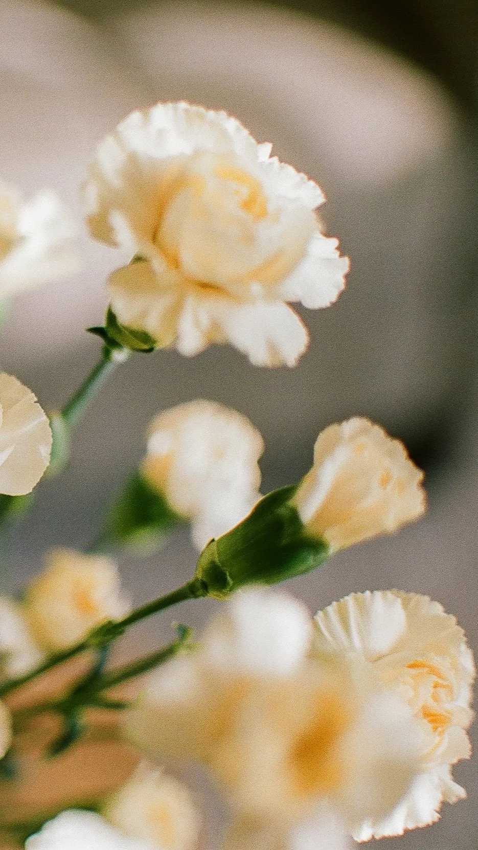 Create Anyway — Ashlee Gadd