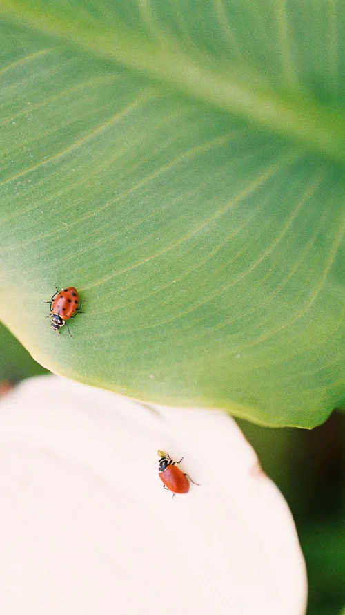 Create Anyway — Ashlee Gadd