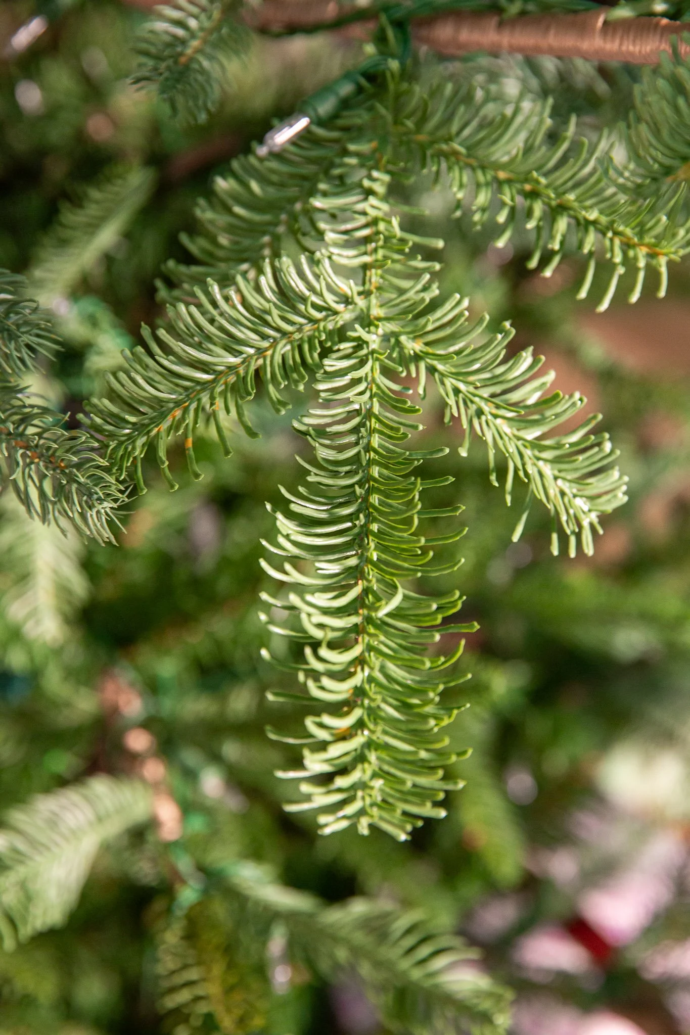 Shop Vintage Christmas - Leben Riebe