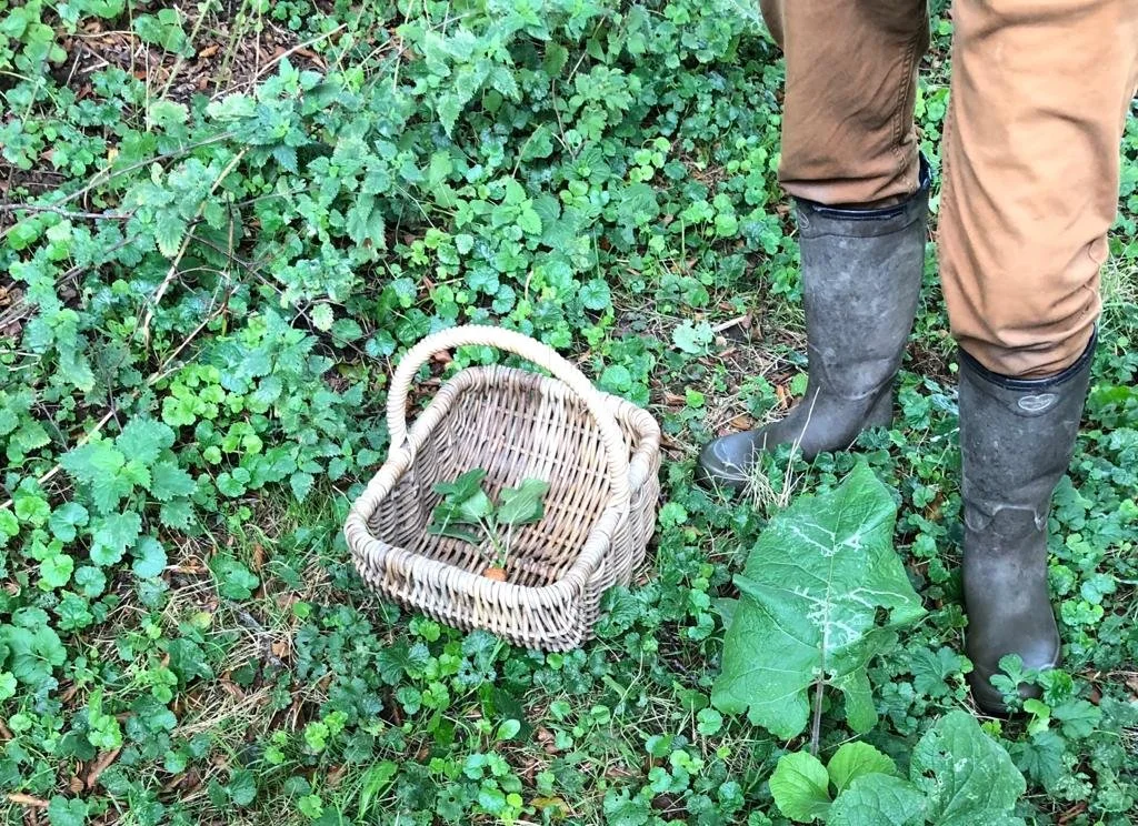 General 1 — Cotesbach Educational Trust