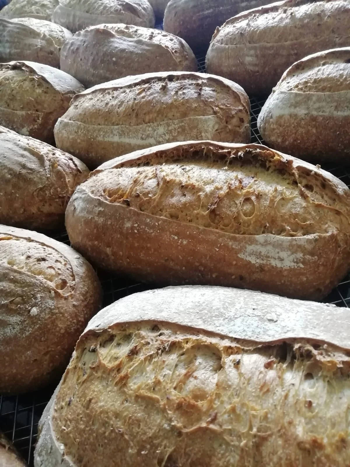 General 1 — Cotesbach Educational Trust