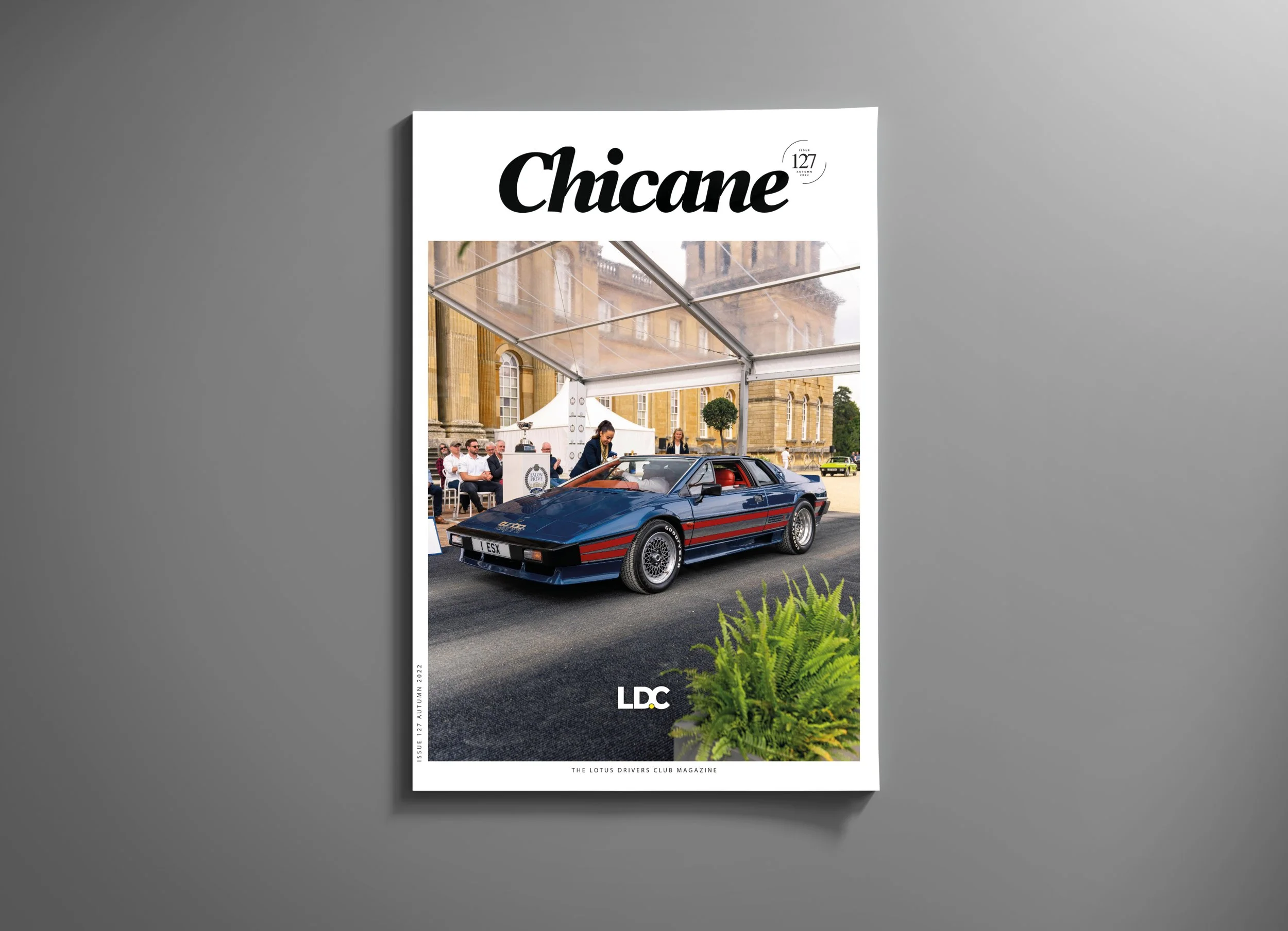 Chicane — Lotus Drivers Club