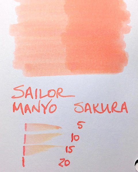 Ink Review: Sailor Manyo Sakura fountain pen ink — Inky Inspirations