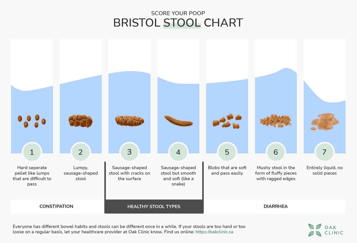 Constipated, and can’t get to the bottom of it? You Might have ...