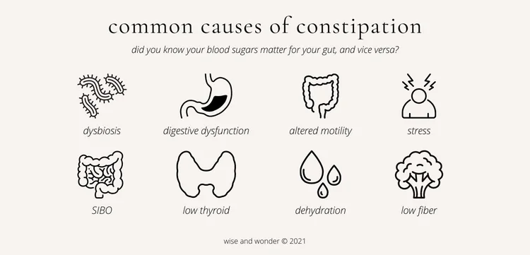 A Comprehensive Guide to Constipation: Why it Happens and How to Fix it ...