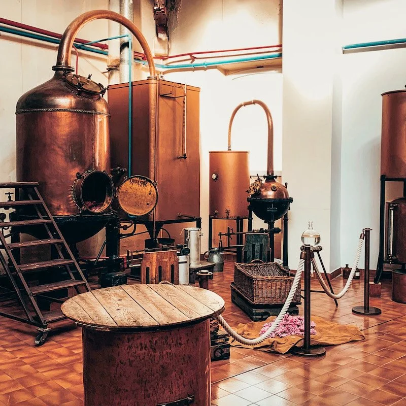 The History of Perfumery: A Fragrant Legacy Through Civilizations ...