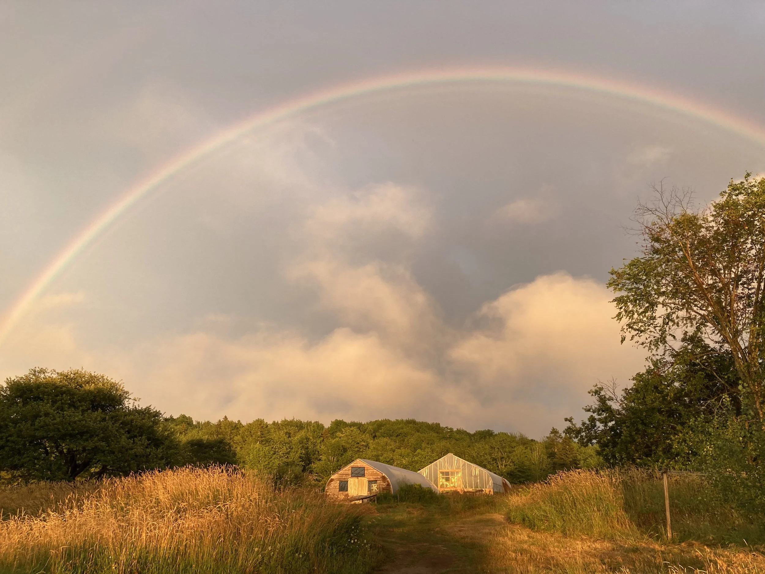 Hart Farm