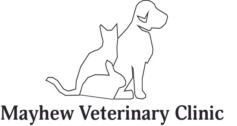 Mayhew Veterinary Clinic — Taylor Crosby