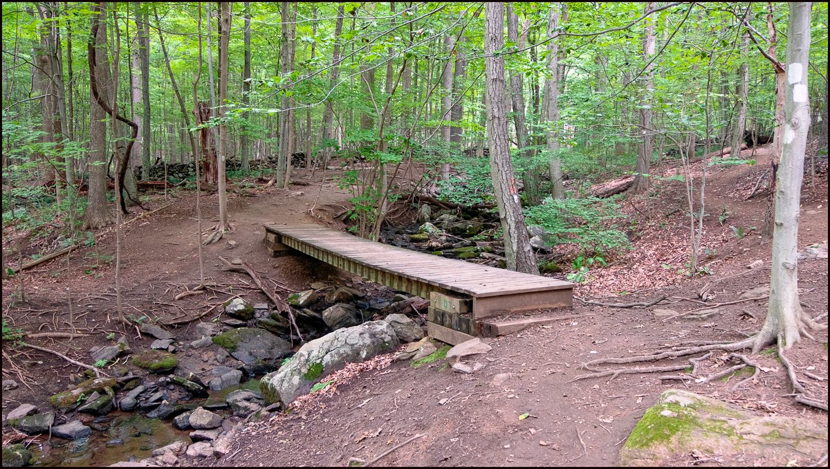 Hardscrabble Wilderness Area — Howard Dale Photography