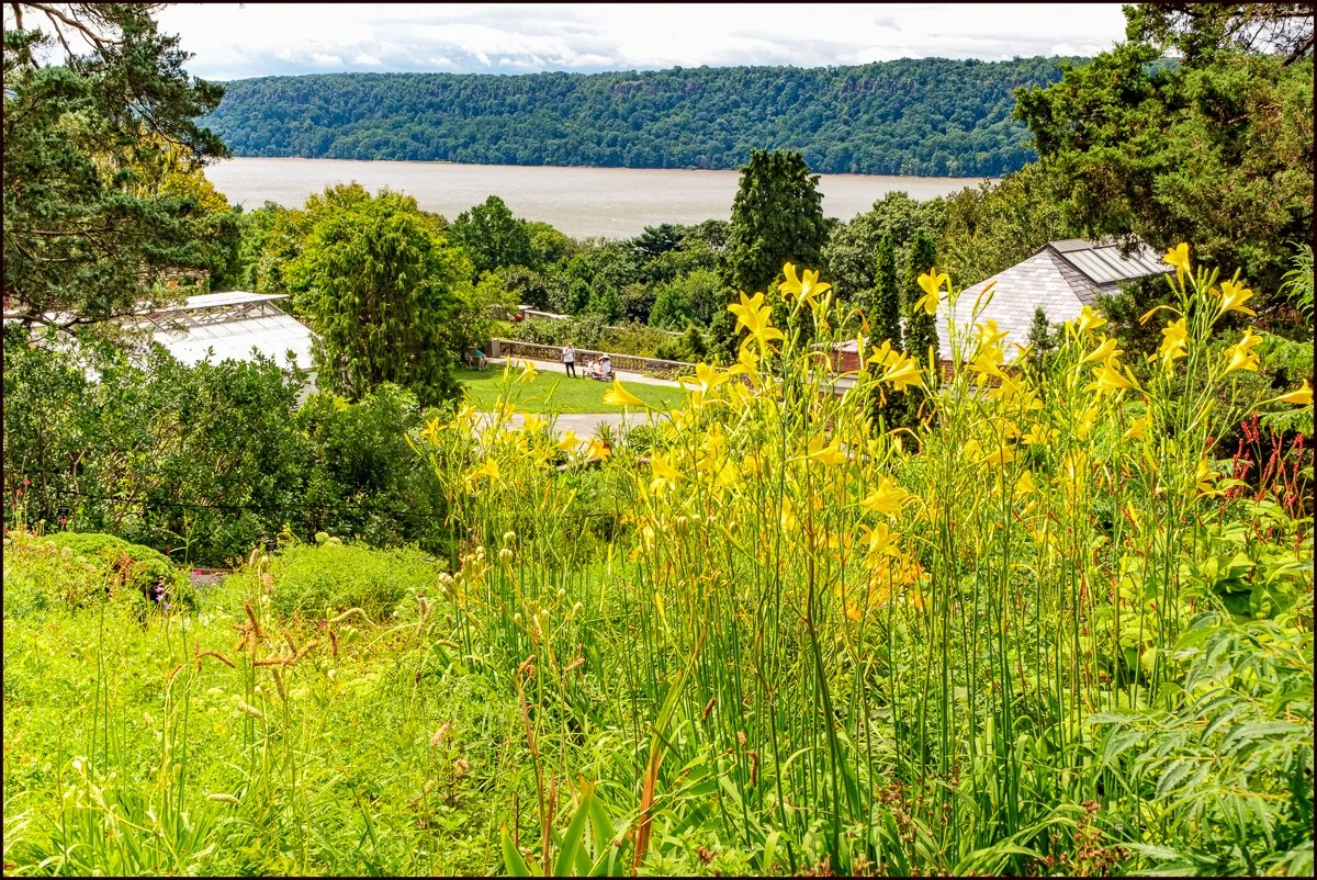 Wave Hill — Howard Dale Photography