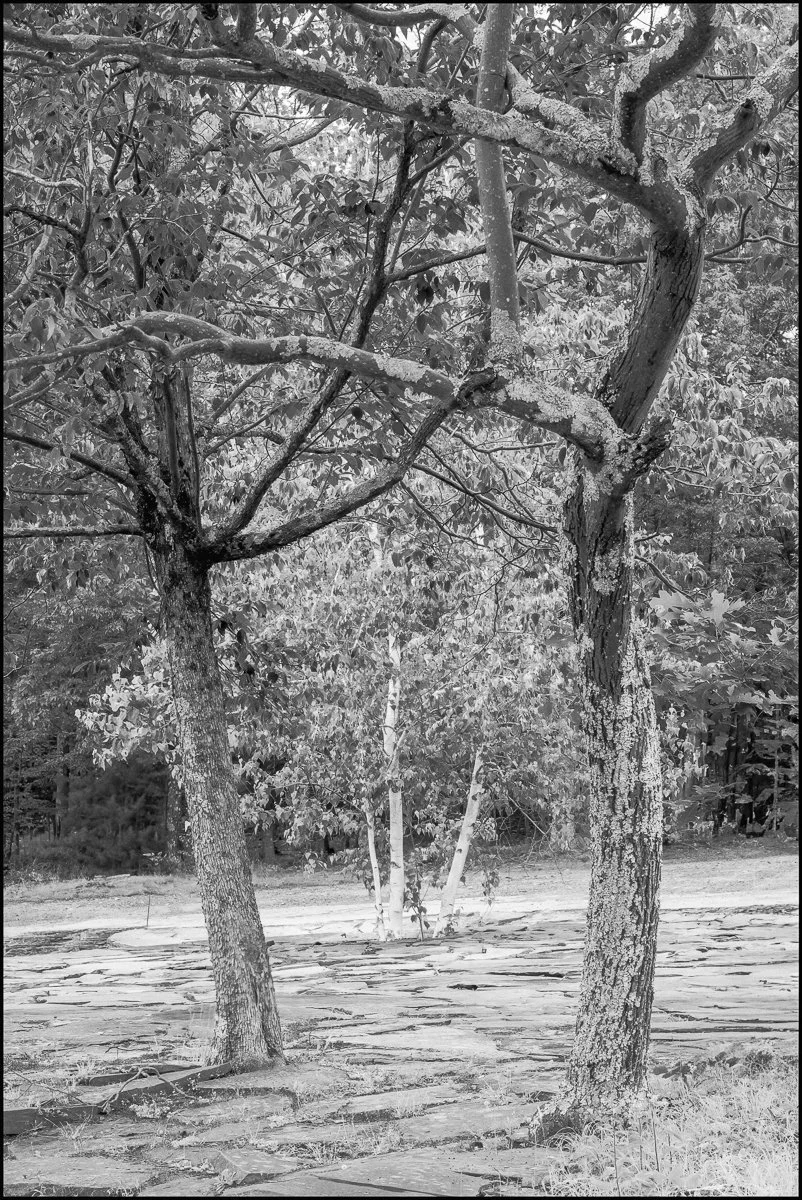 Opus 40 — Howard Dale Photography