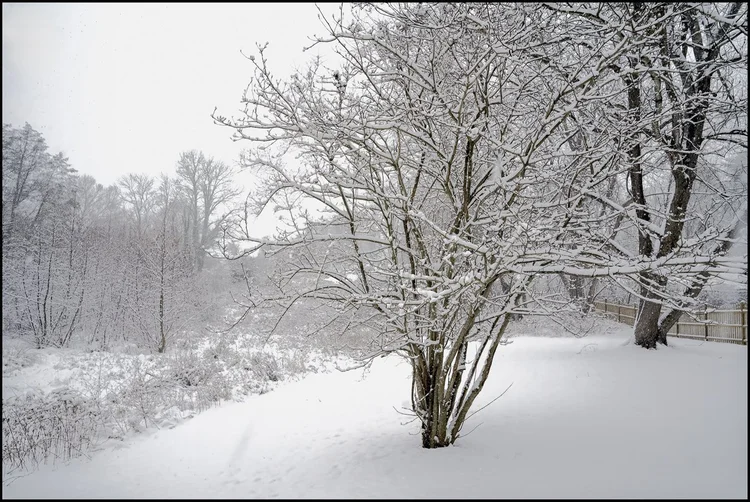 Snowy Day in Briarcliff Manor — Howard Dale Photography