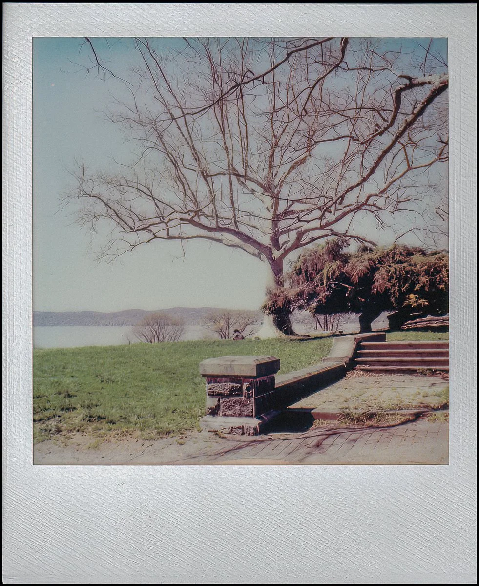 Polaroid I2 — Howard Dale Photography