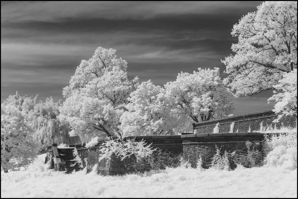 Howard Dale Photography