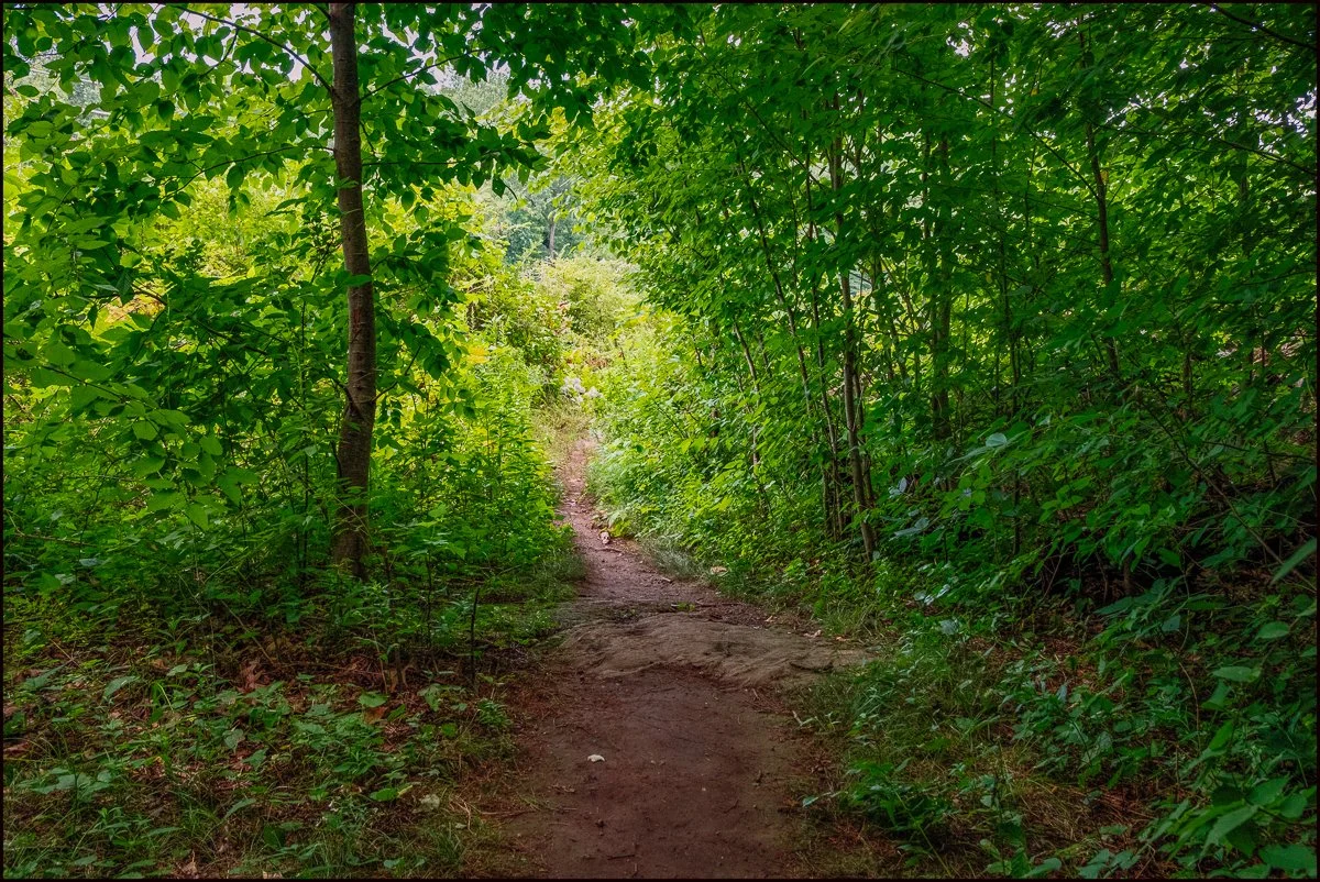 Hardscrabble Wilderness Area — Howard Dale Photography