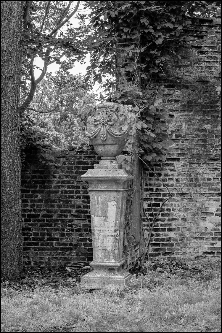 Alder Manor — Howard Dale Photography